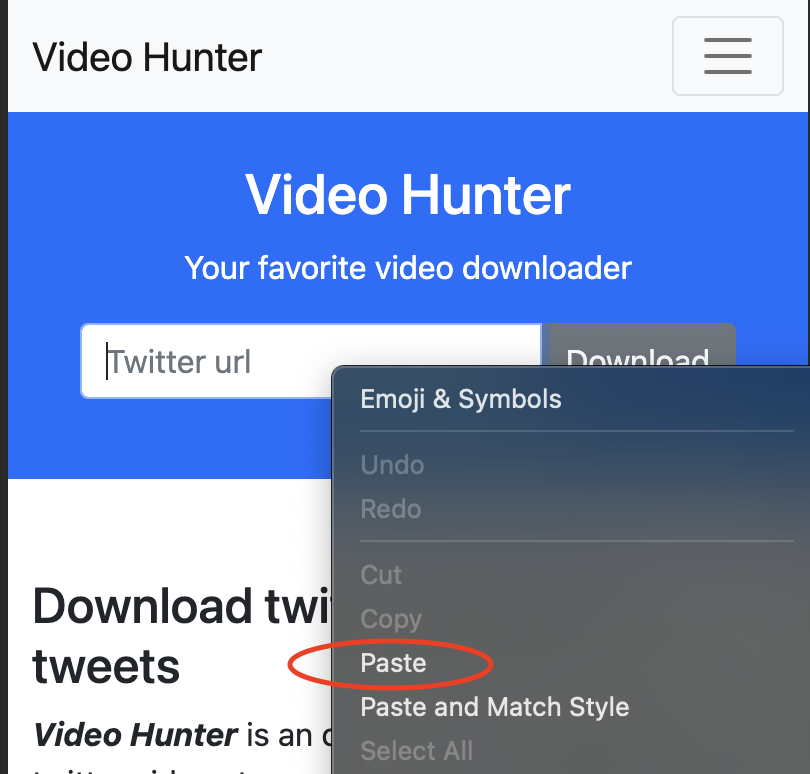 Video Hunter - Video downloader